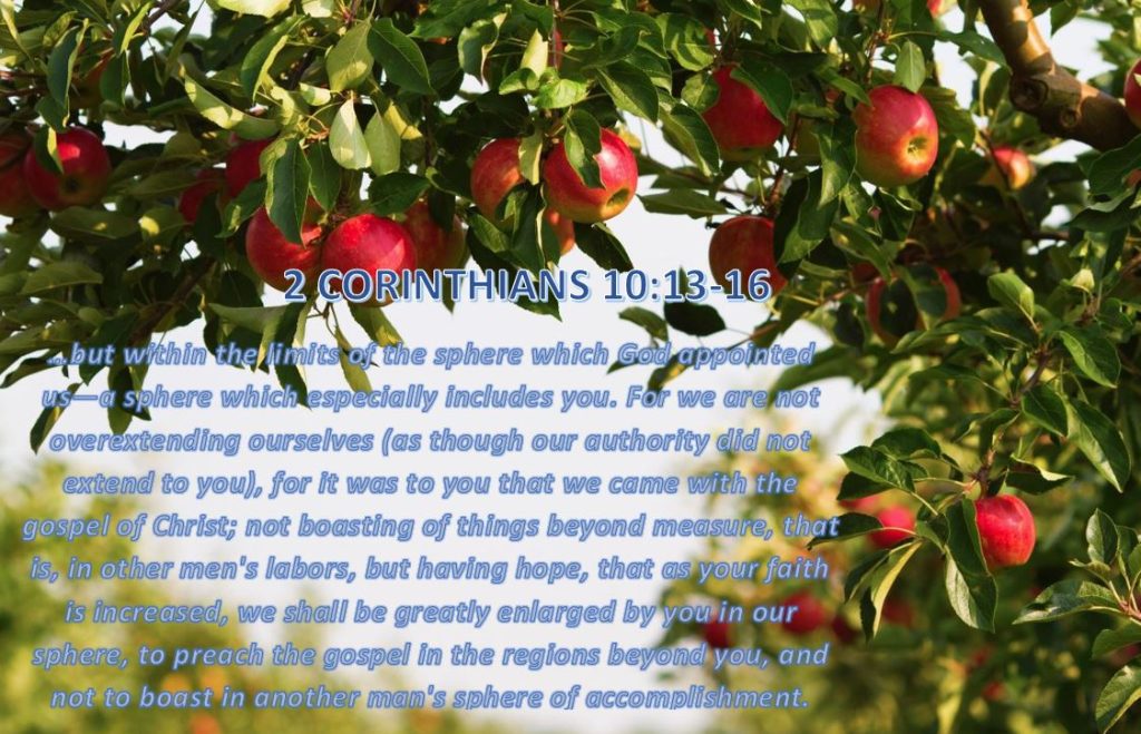 Are You Producing Good Fruit On His Tree? - Servants for Jesus Christ